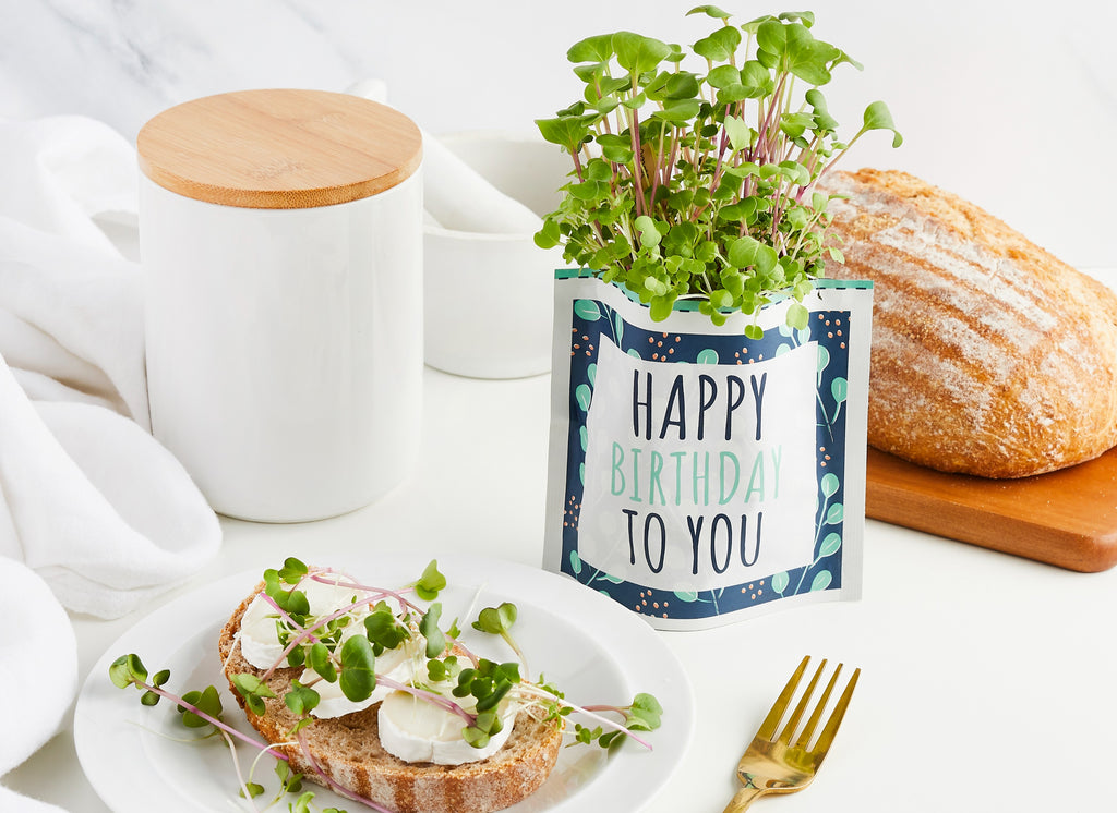 How to store your microgreens – Shroot