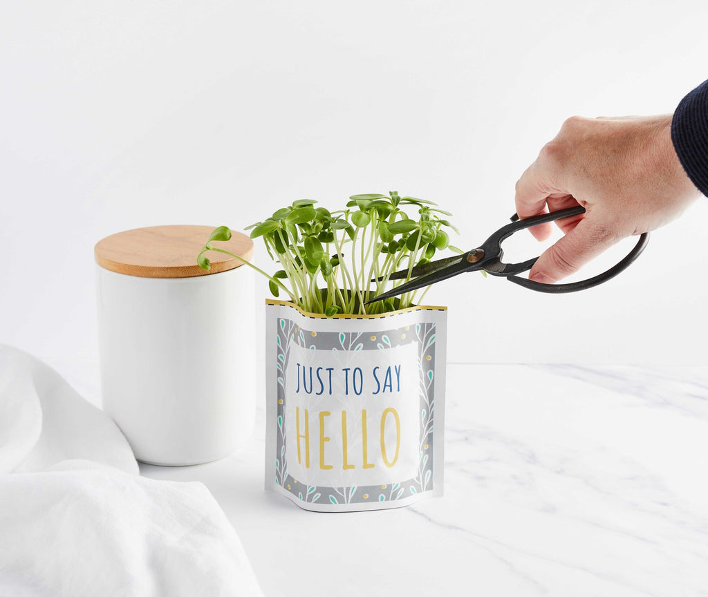 When to harvest your microgreens – Shroot