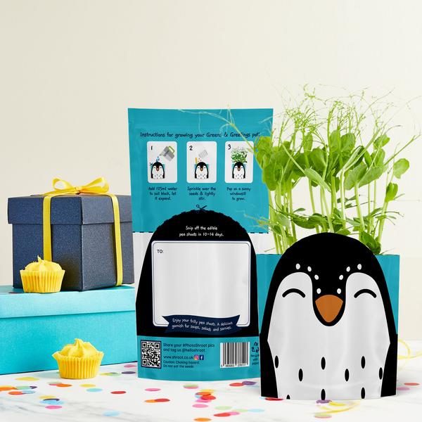 Greens & Greetings: Sonny the Penguin – Shroot